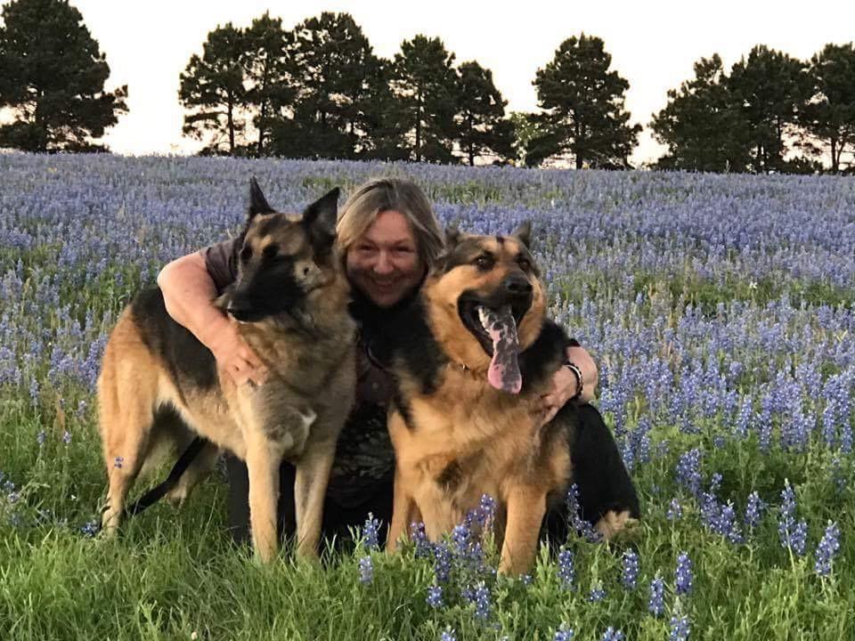 About – Sauver Des Chiens German Shepher Dog Rescue